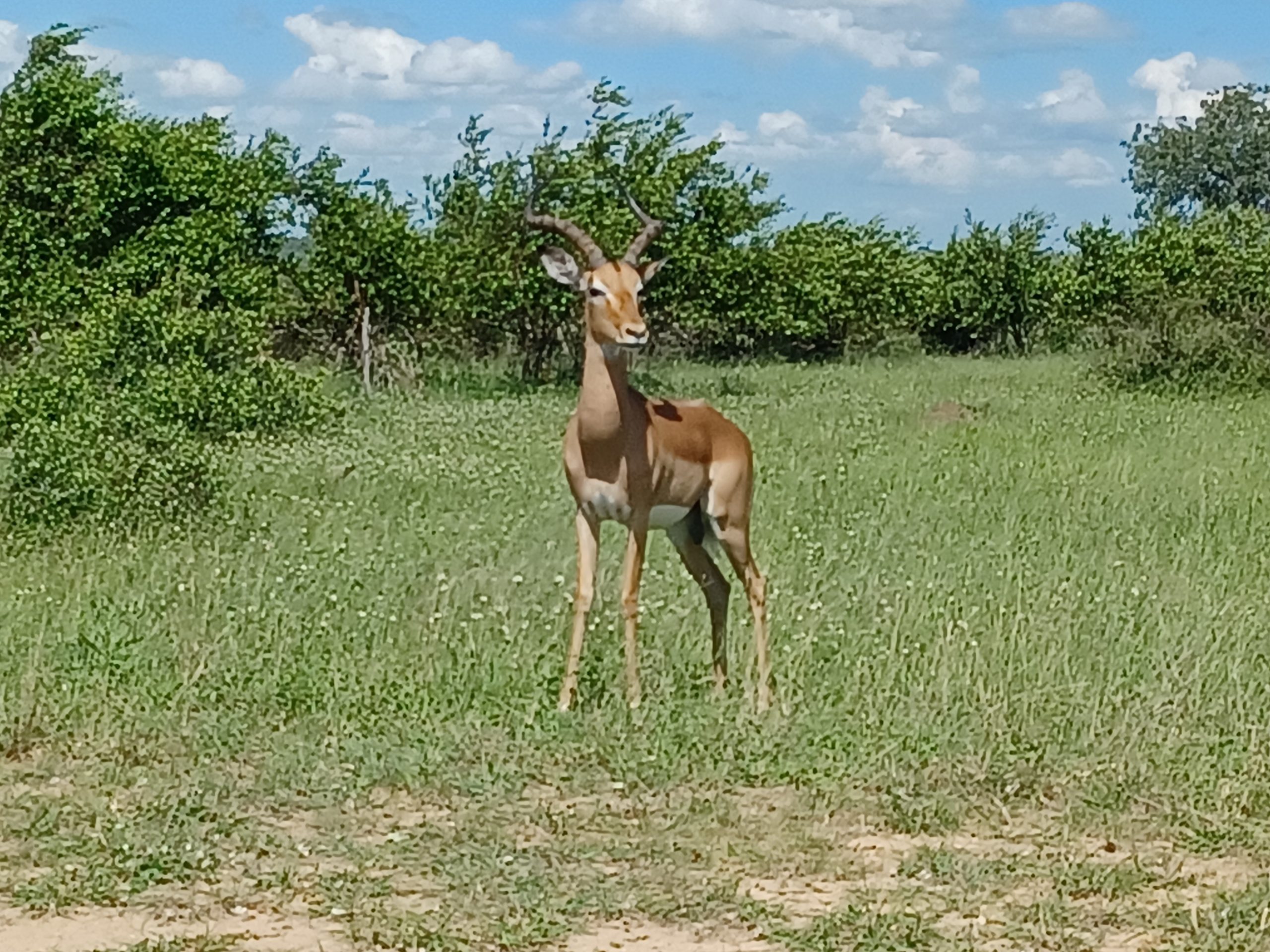 Destination Review - Kruger National Park, South Africa - Rebel Flying